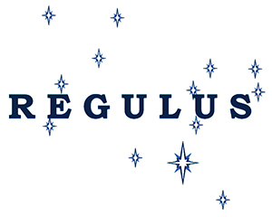 Кариера - ТУ-София - Regulus Investments